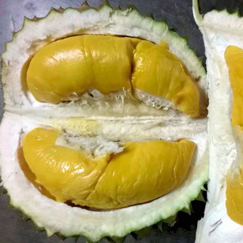 Our Services – EMEF Freight