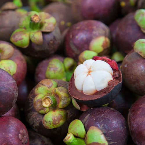 Our Services – EMEF Freight